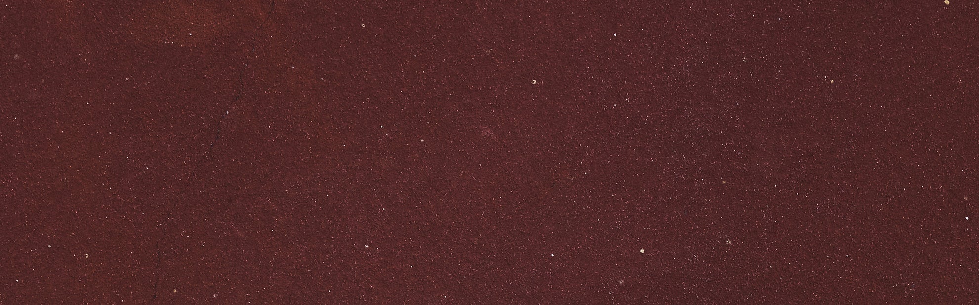 5 rackets that will dominate 2025 - Tennis Warehouse Europe