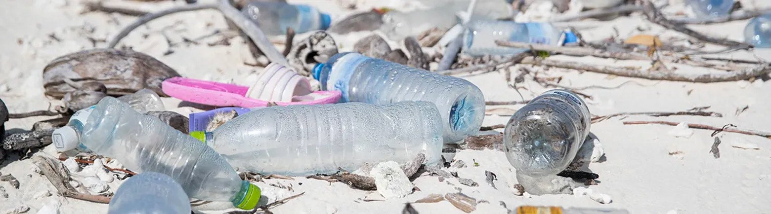 adidas fully sustainable